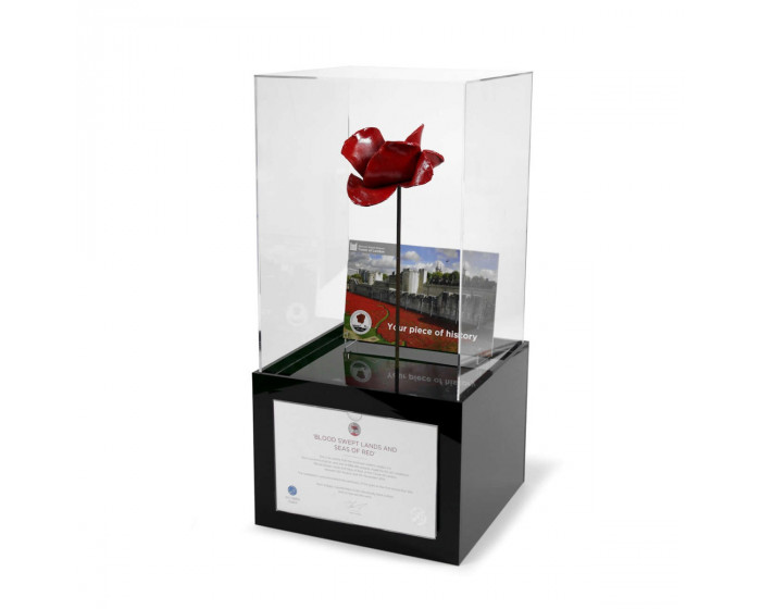 Tower of London Poppy Display Case | Tielo